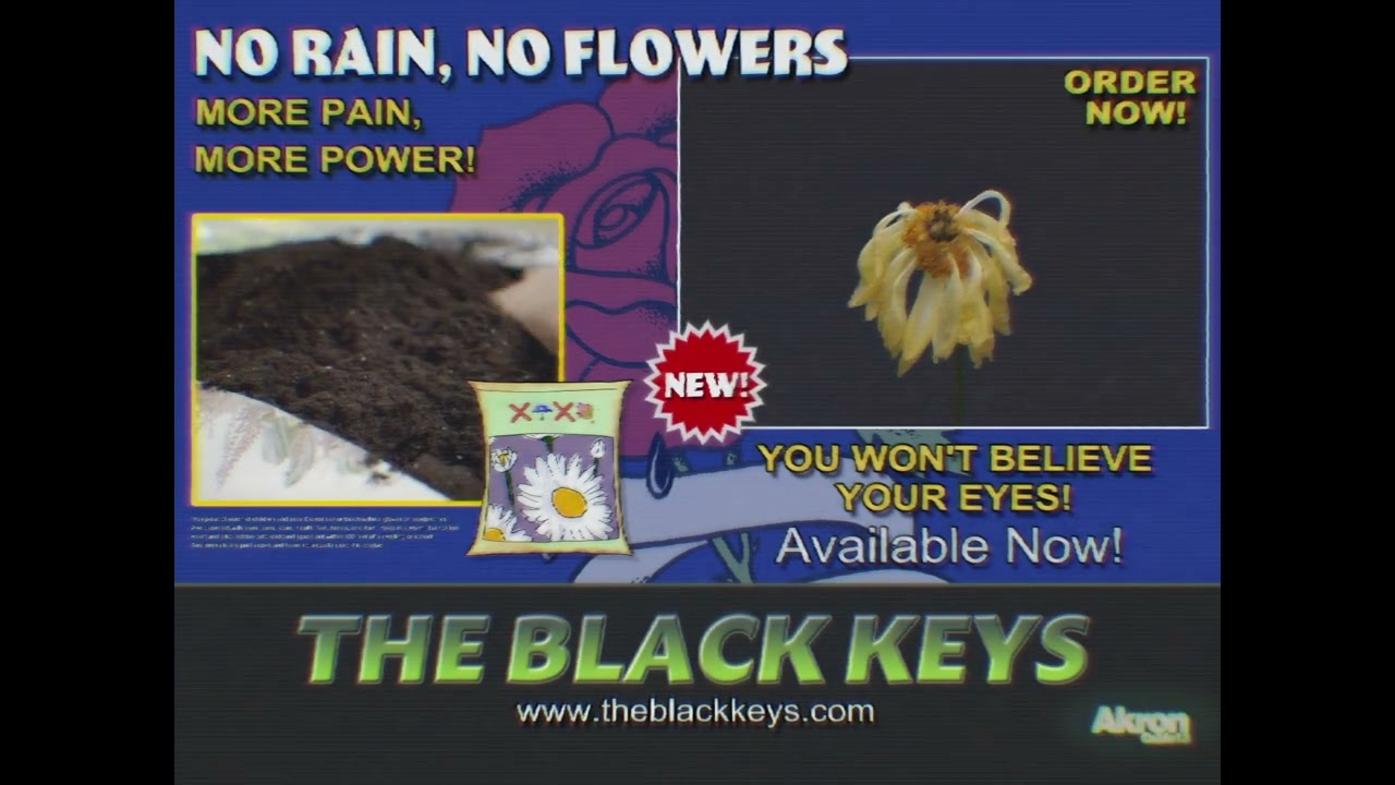 The Black Keys - No Rain, No Flowers Chords | ChordsWorld.com